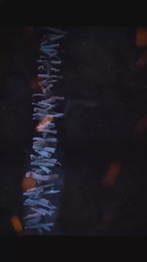 Valhalla Ladder – Heksedans